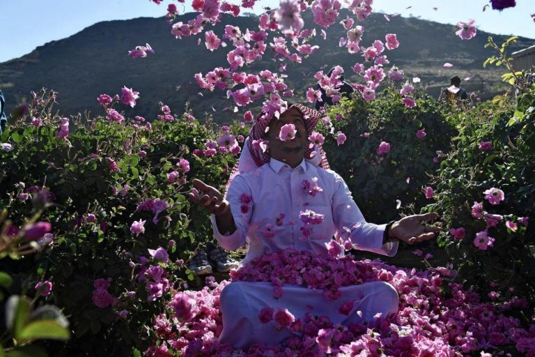 Taif: Saudi Arabia’s City Of Roses | TimelineDaily